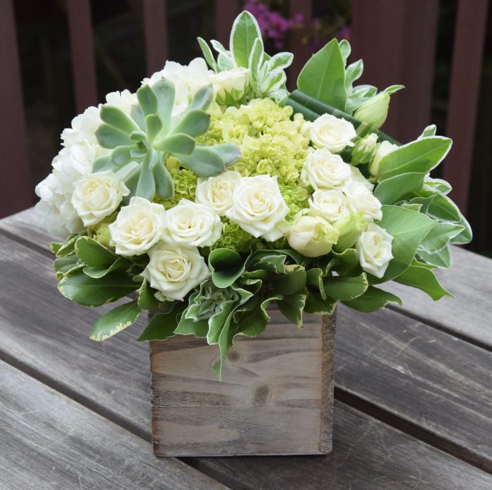 Gallery | Echuca Moama Florist